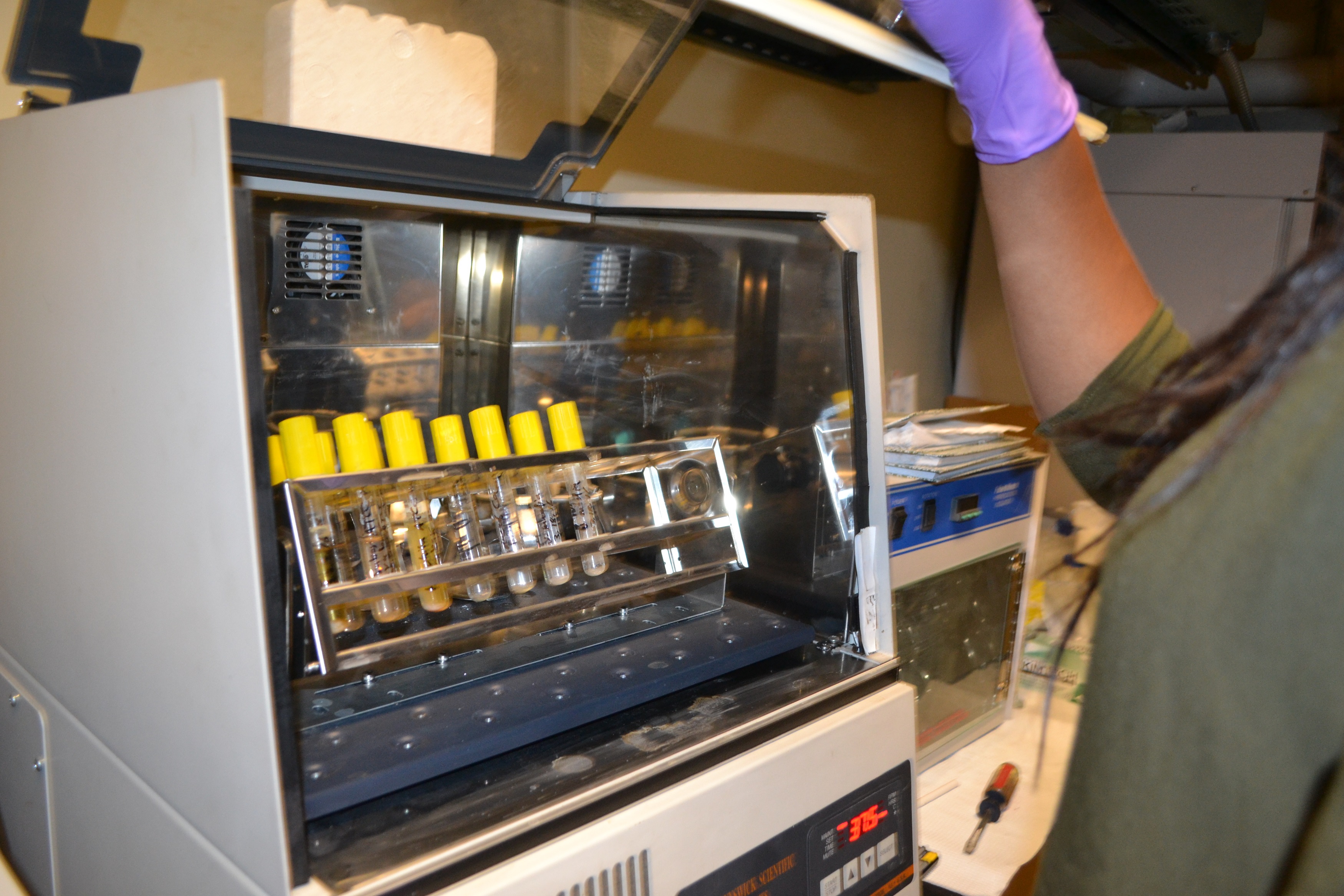 Welcome to the Civil, Environmental and Architectural Engineering ...